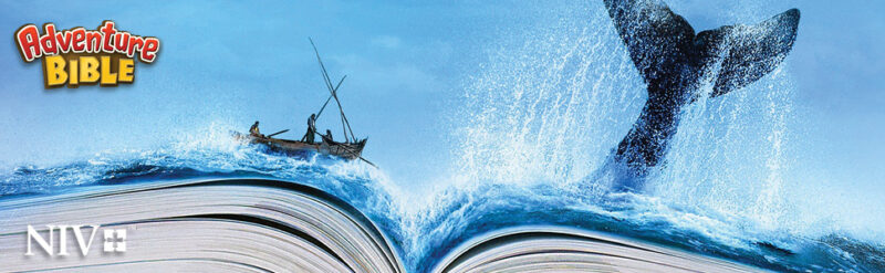 Best Study Bible | For Beginners to Pastors - scriptures.blog